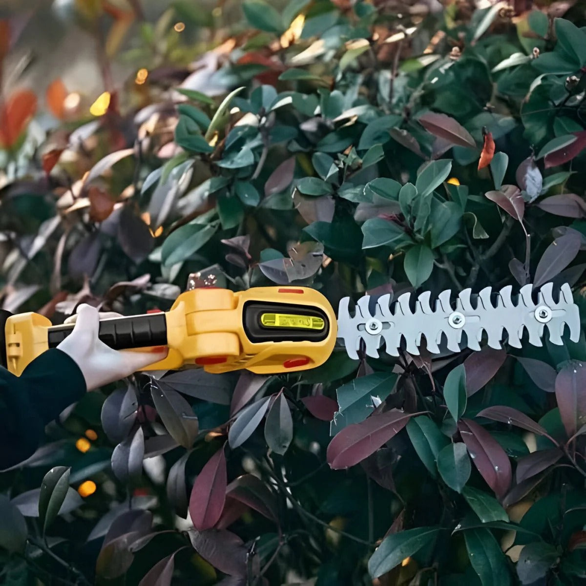 Professional 2-in-1 Cordless Hedge & Shrub Trimmer – Katml